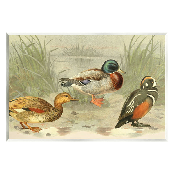 Winston Porter Various Ducks by Pond Wall Plaque Art by Gail Fraser | Wayfair